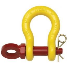 CROSBY G209R - ROV SHACKLES